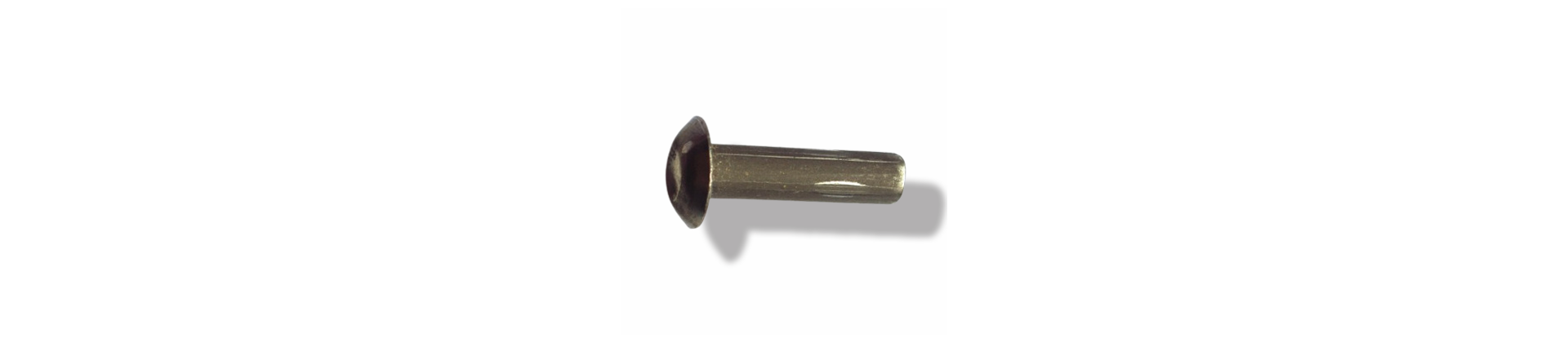 Rivet Plein 10X20 NFE 27152 - Gfix